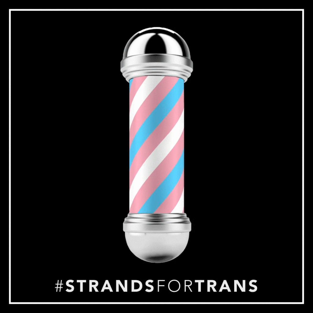 Barba: Strands for Trans - Terri & Sandy